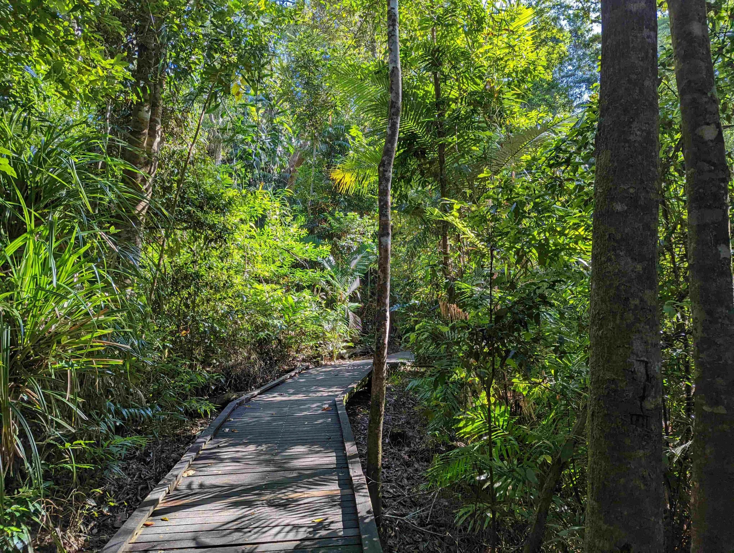 Kuranda Village Walking Trails | Skyrail