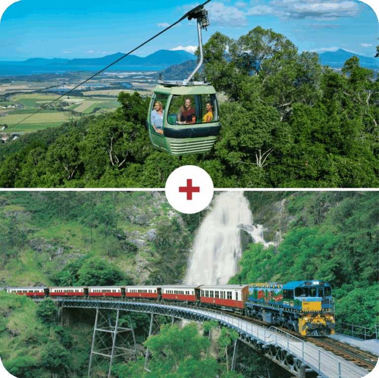 スカイレールとキュランダ観光列車 | Skyrail